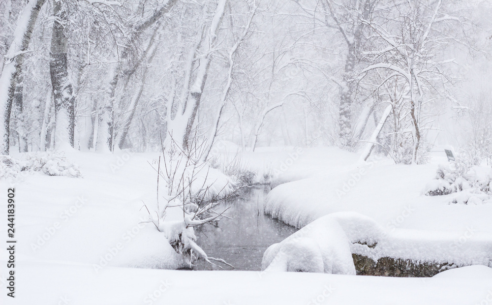 Beautiful Winter Pictures Nature