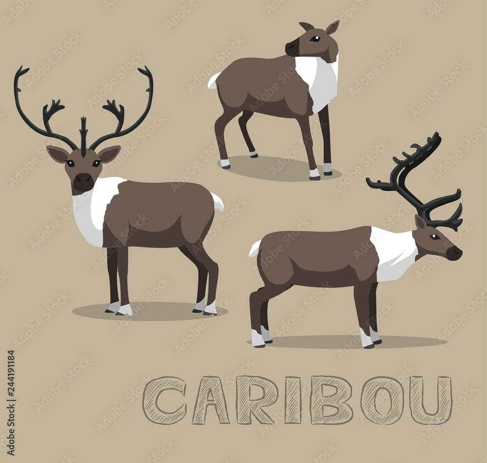 Caribou Cartoon