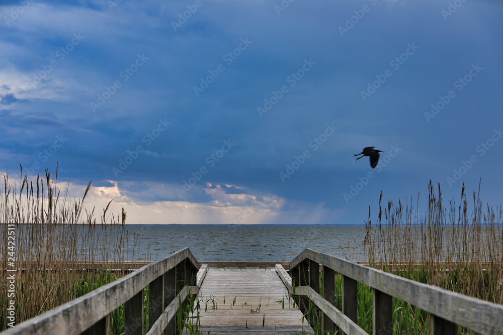 This pier in Corolla in the Outer Banks, North Carolina offers a ...
