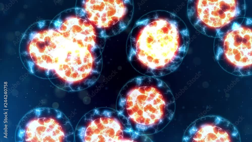 Cell embryo, Mitosis under microscope. Stock Video | Adobe Stock