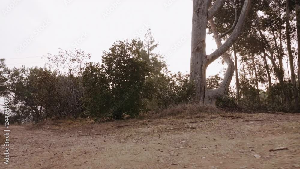Low Angle Path Walk Kenneth Park. walking a path on top of Kenneth park ...