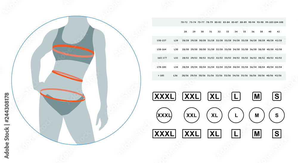 The sizes of female linen. Lingerie sizes. Vector illustration of the ...