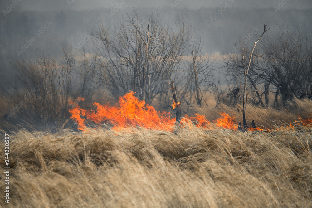 Nature disaster, environmental problem of air pollution. Fire in a ...