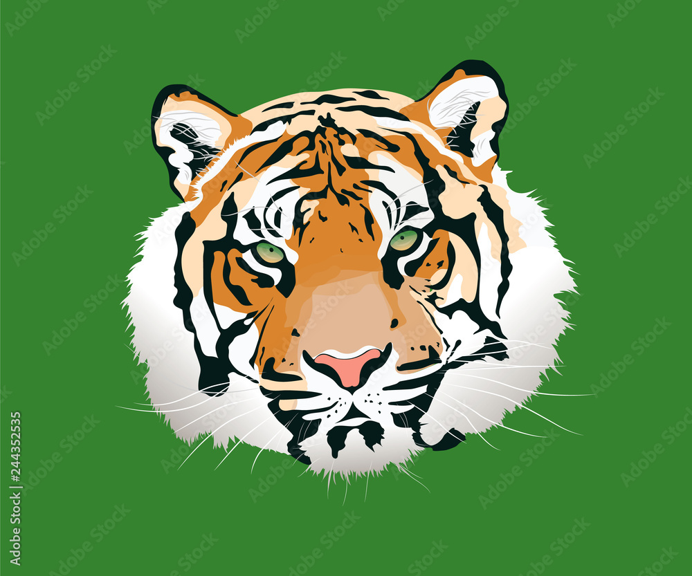 The tiger vector illustration. Tiger face front view, vector ...