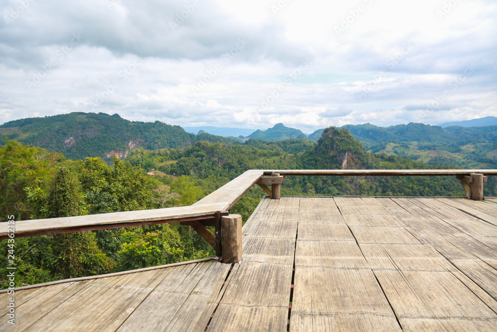 perspective bamboo emtry green forest in aerial view. Landscape of ...