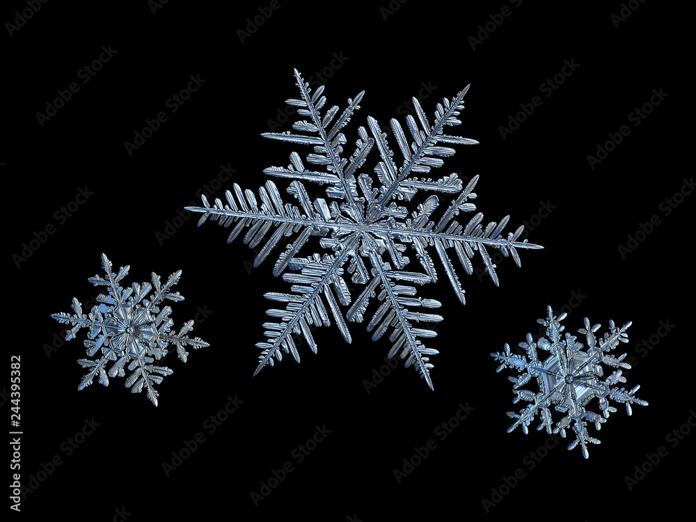 Real Snowflakes Magnified