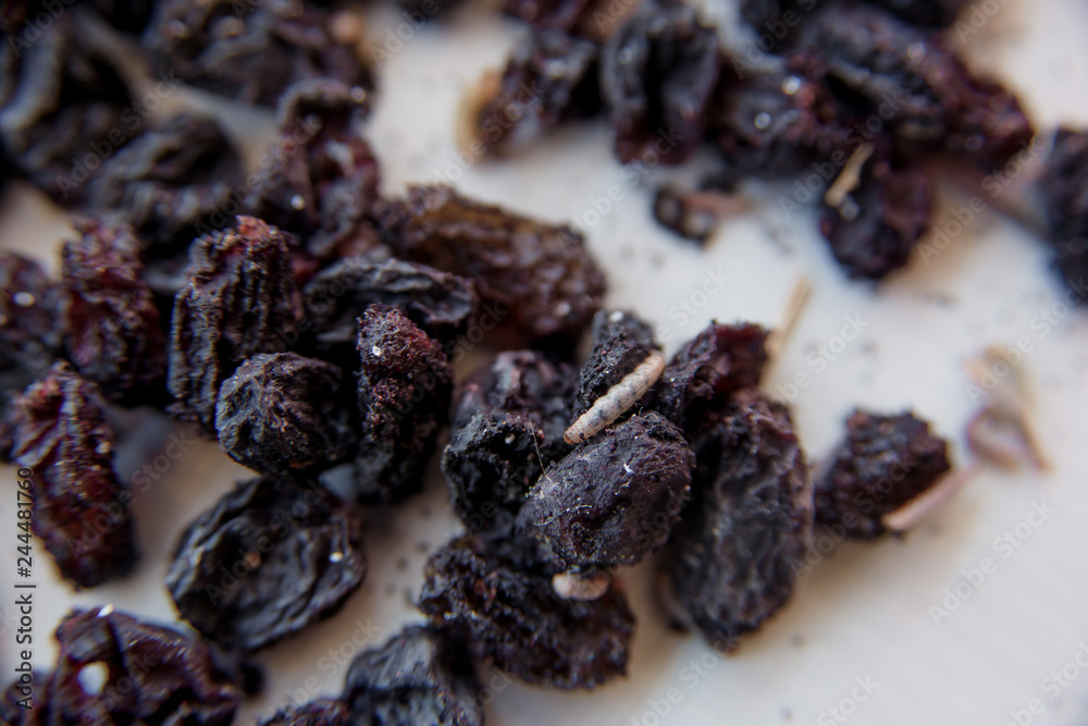 Missing raisins on a white background. Spoiled dried fruits on a light ...