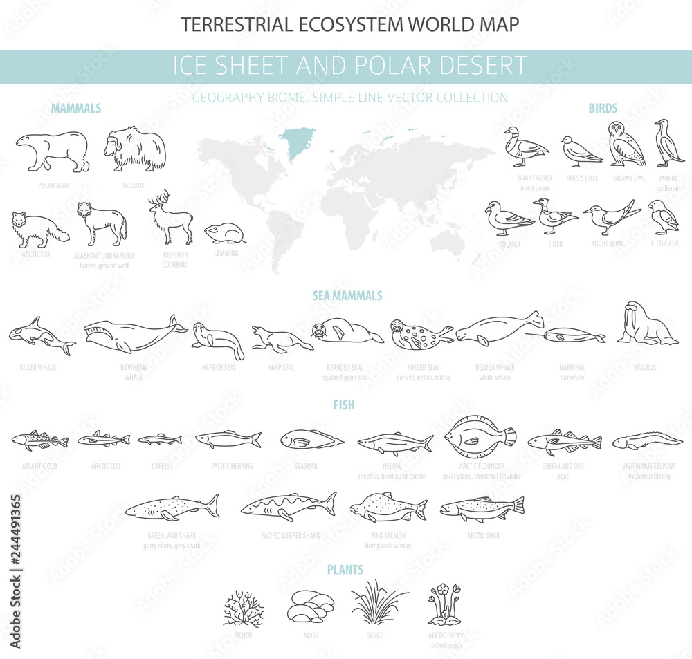 Ice sheet and polar desert biome. Simple line style. Terrestrial ...
