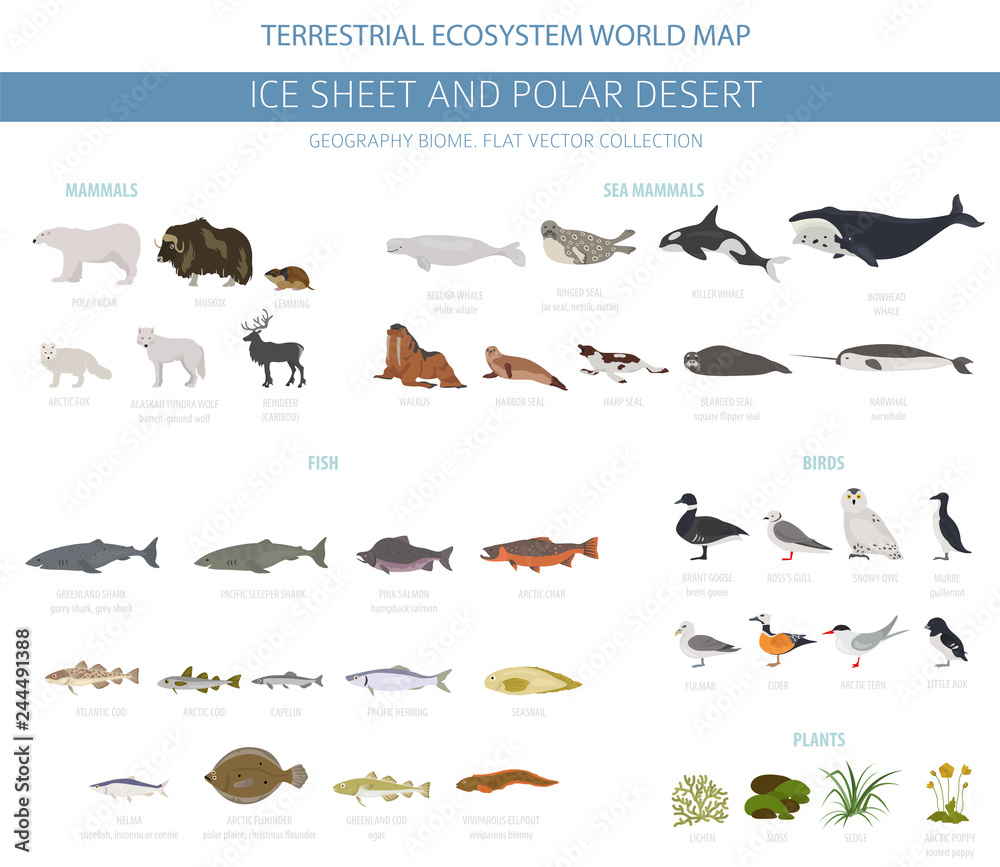 Ice sheet and polar desert biome. Terrestrial ecosystem world map ...