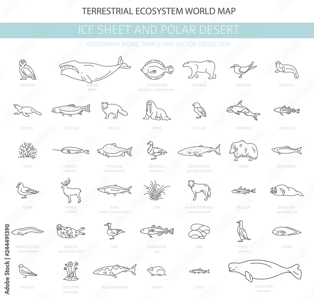 Ice sheet and polar desert biome. Simple line style. Terrestrial ...
