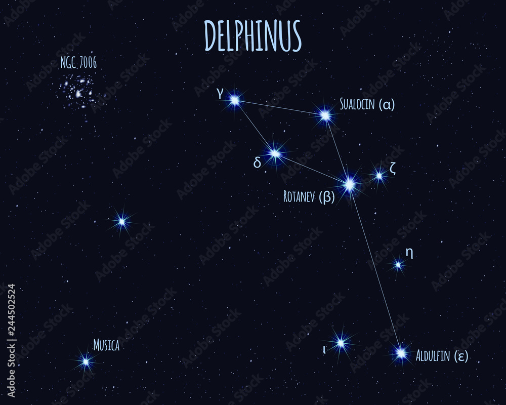 Delphinus The Dolphin Constellation Vector Illustration With The Delphinus The Dolphin Constellation Vector Illustration With The