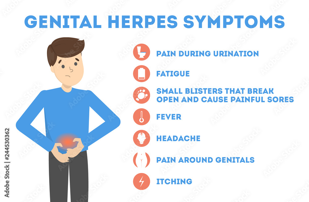 Genital Herpes Symptoms Infectious Dermatology Disease Illustration