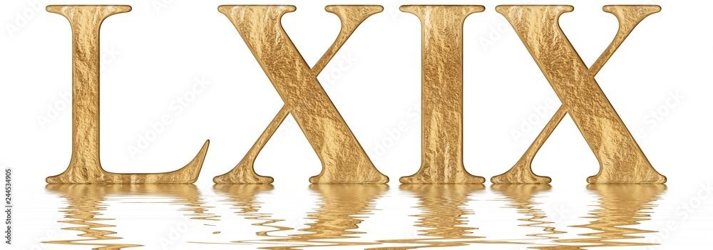 Roman numeral LXIX, novem et sexaginta, 69, sixty nine, reflected on ...