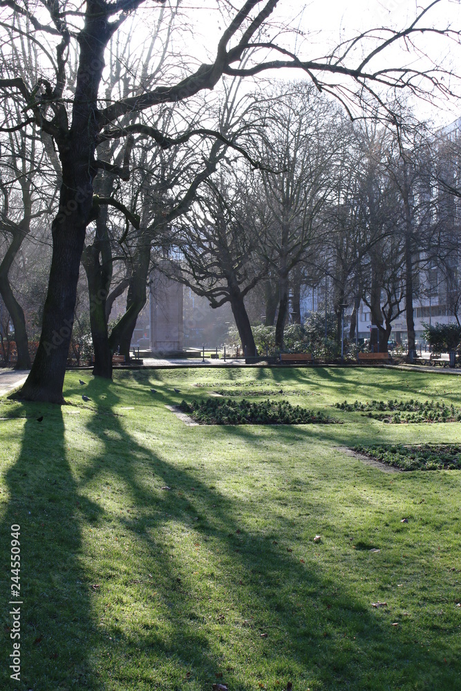 Foto de Landscape of town square park large oak trees trunk branches ...