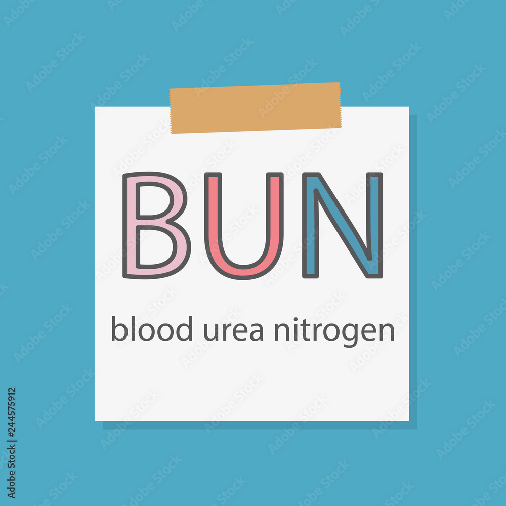 BUN Blood urea nitrogen hormone written on a notebook paper- vector ...