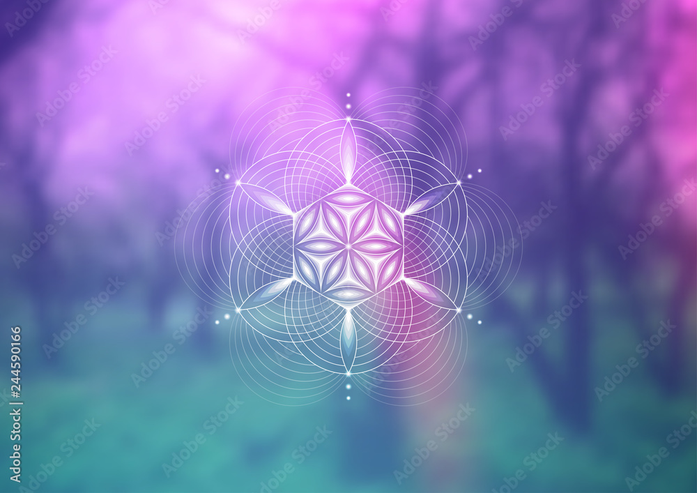 Vector template; Spiritual sacred geometry; Abstract geometric shape ...