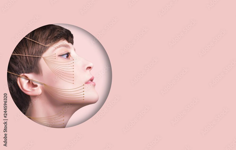 skin plastic surgery concept. Woman face with marks and arrows Stock ...