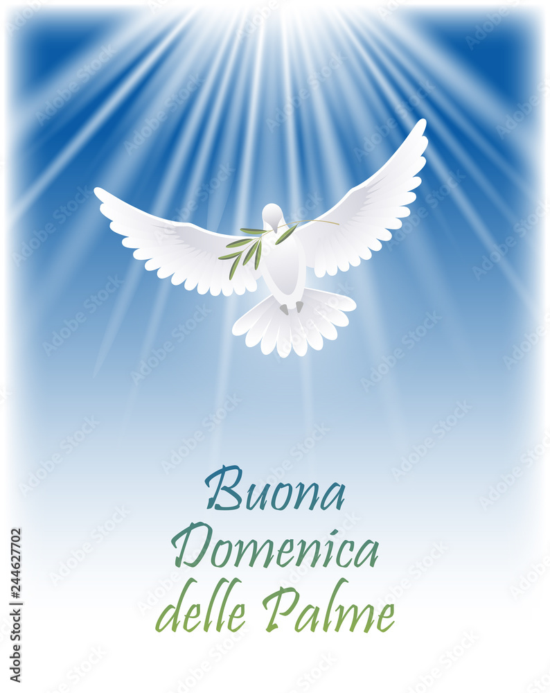 Happy Palm Sunday in Italian. Greeting card with white flying dove and ...