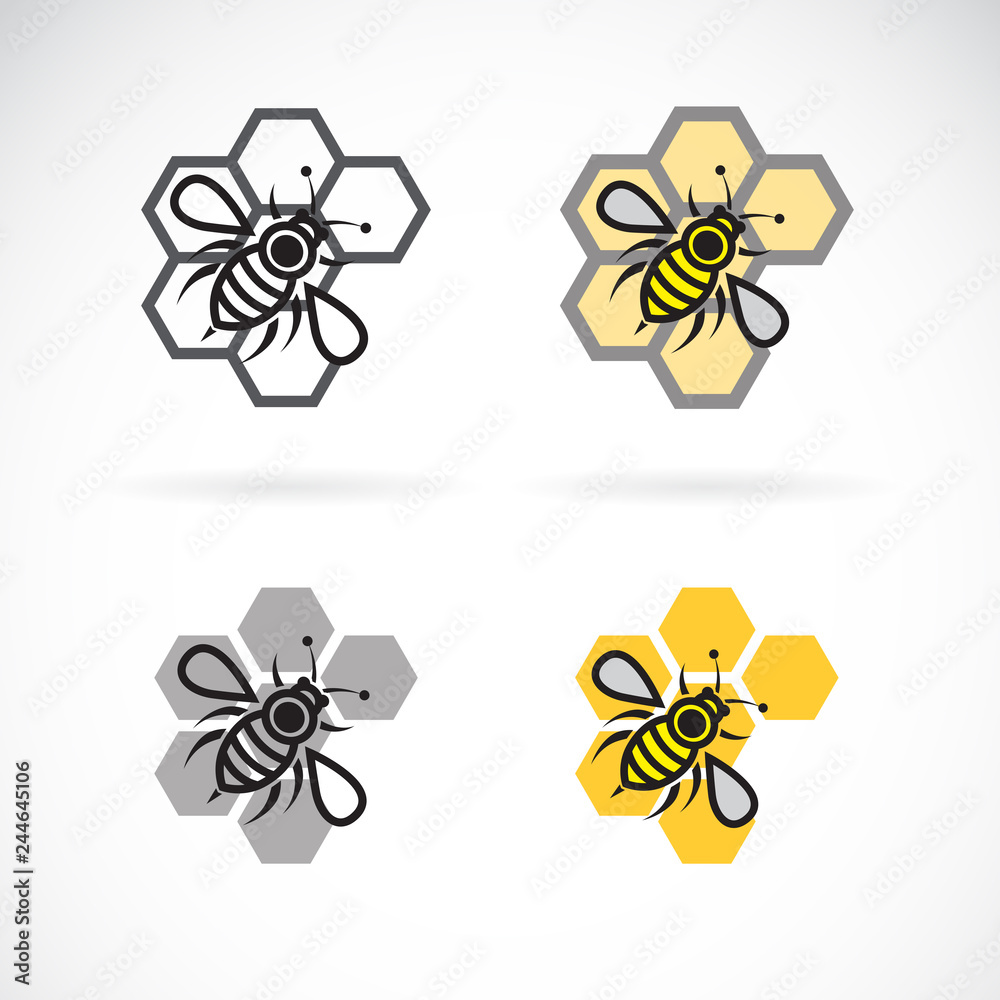 Vector of bee and honeycomb design on white background. Insect. Animals ...