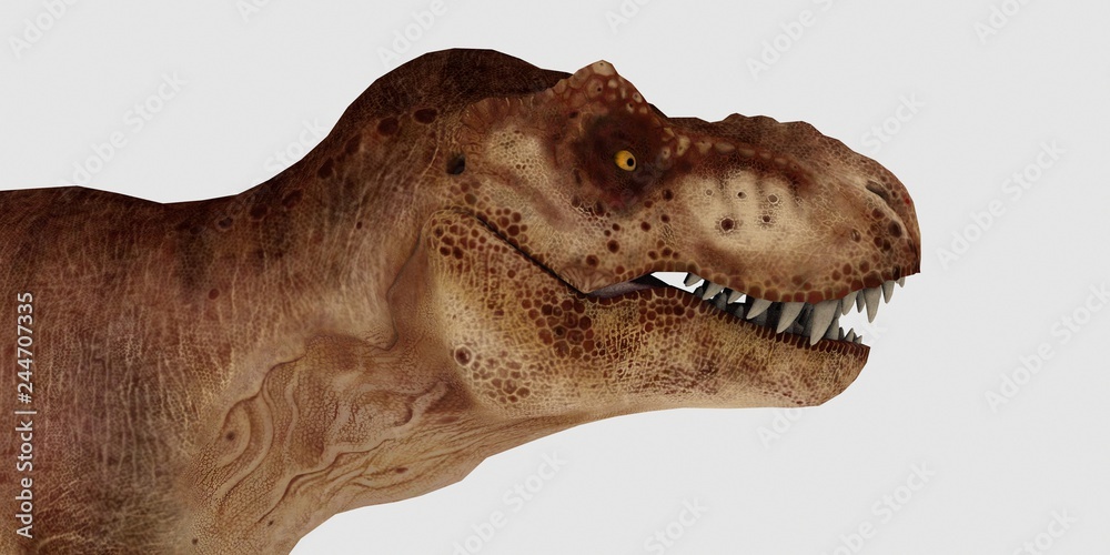 Extremely detailed and realistic high resolution 3d illustration of a T ...