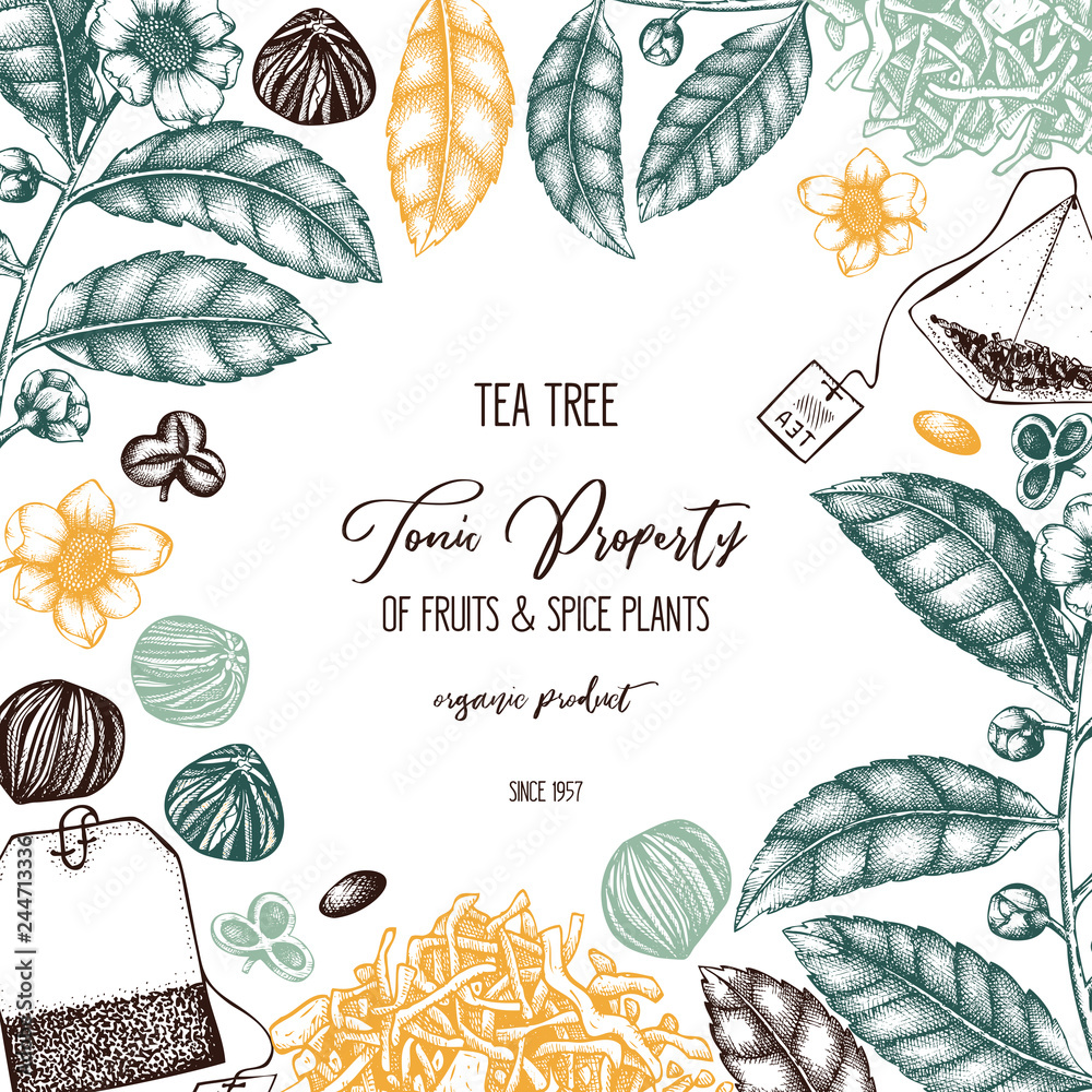 Vector design with hand drawn Chinese tea tree illustration. Decorative ...