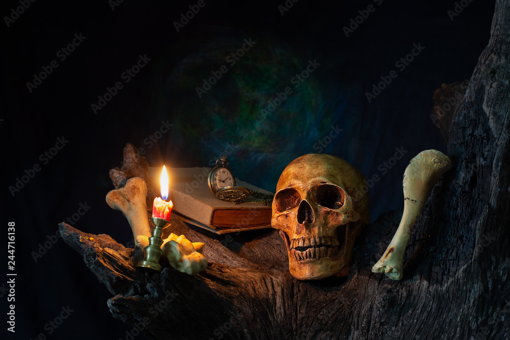 still life art photography on human skull skeleton with Vintage Old ...