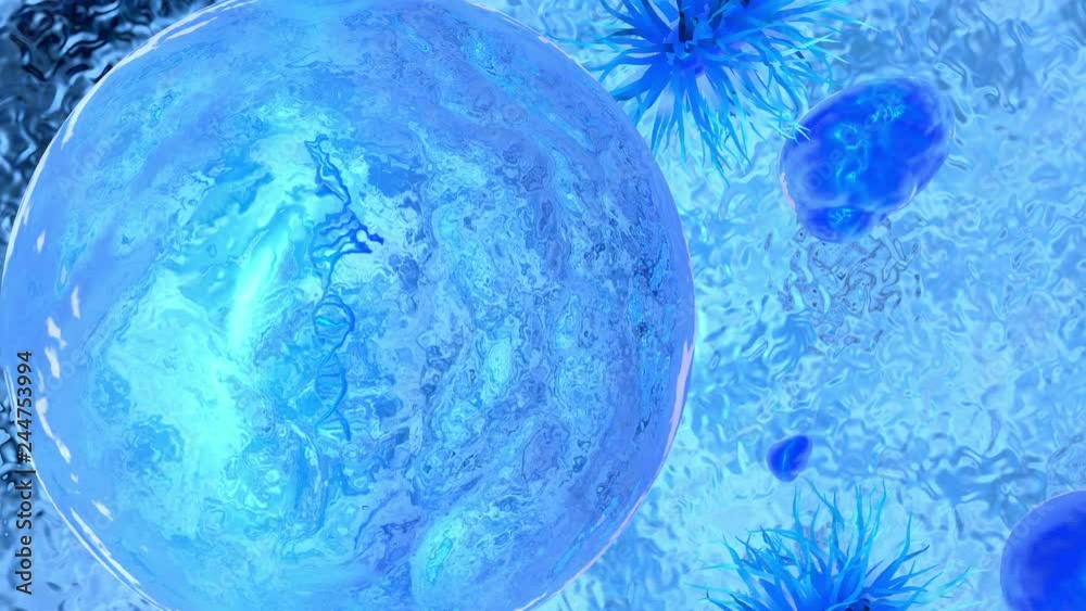 3D animation of peering inside a living cell. The camera passes through ...