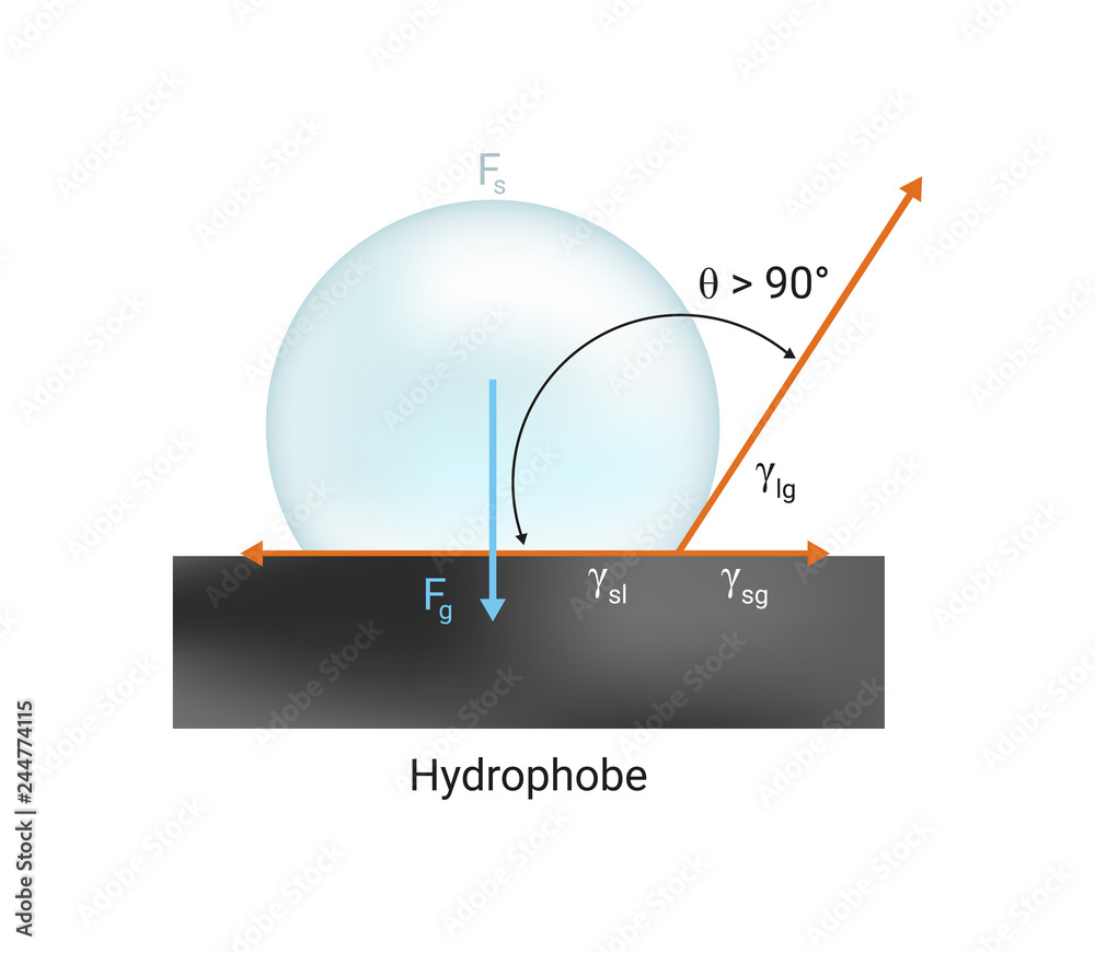 Vector physics scientific icon or illustration of surface tension ...