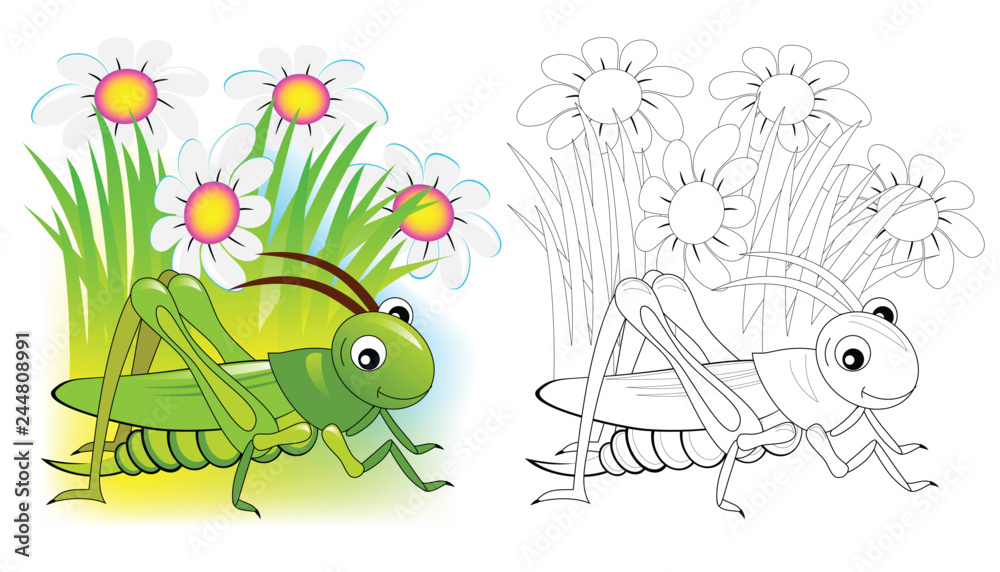 Cricket Insect Coloring Pages