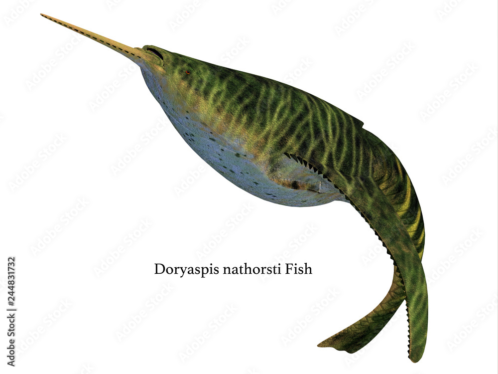 Doryaspis Fish Side Profile with Font - Doryaspis is an extinct ...