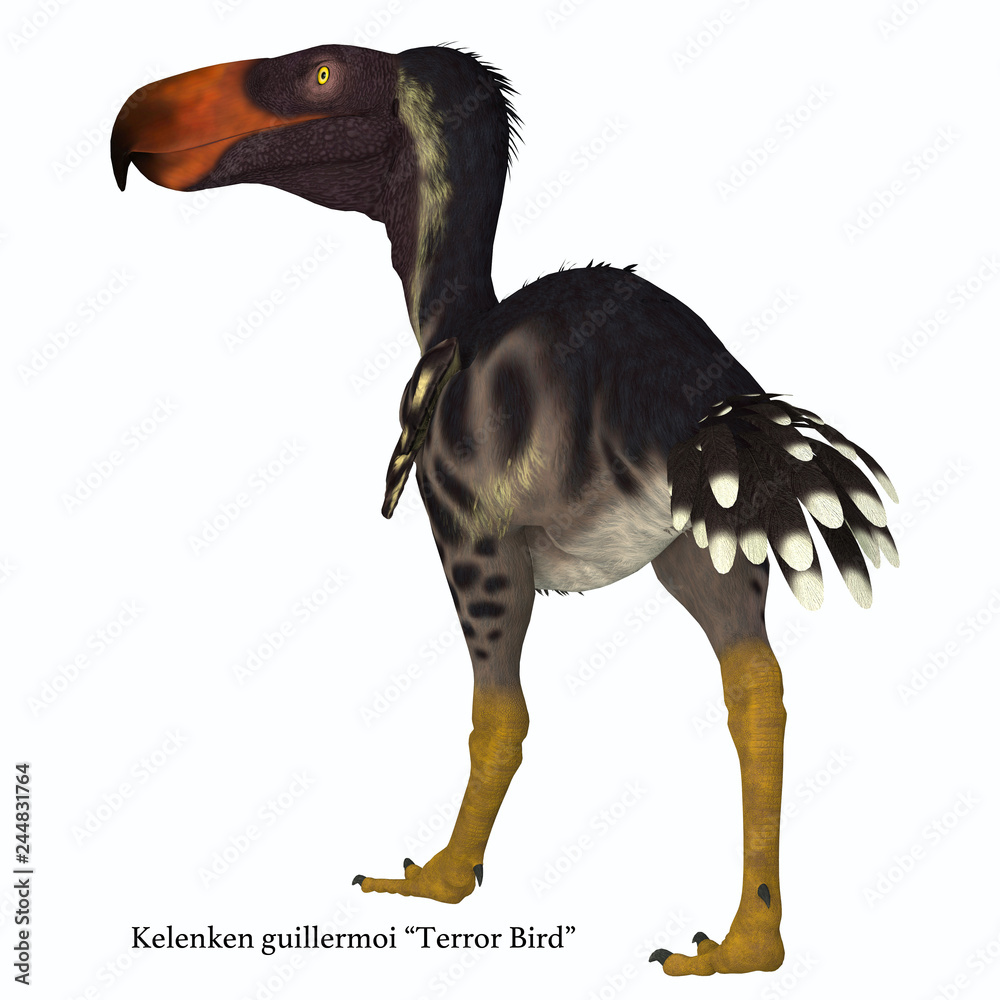 Kelenken Bird Tail with Font -Kelenken was a carnivorous Terror bird ...