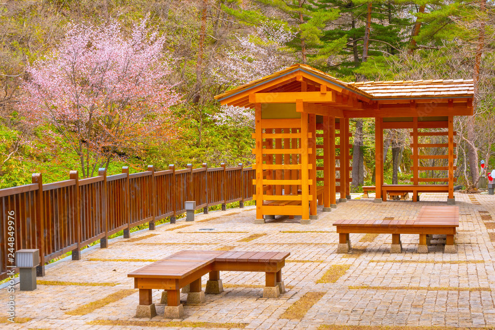 Sainokawara Open-Air Bath at Kusatsu onsen in Gunma, Japan Stock Photo ...