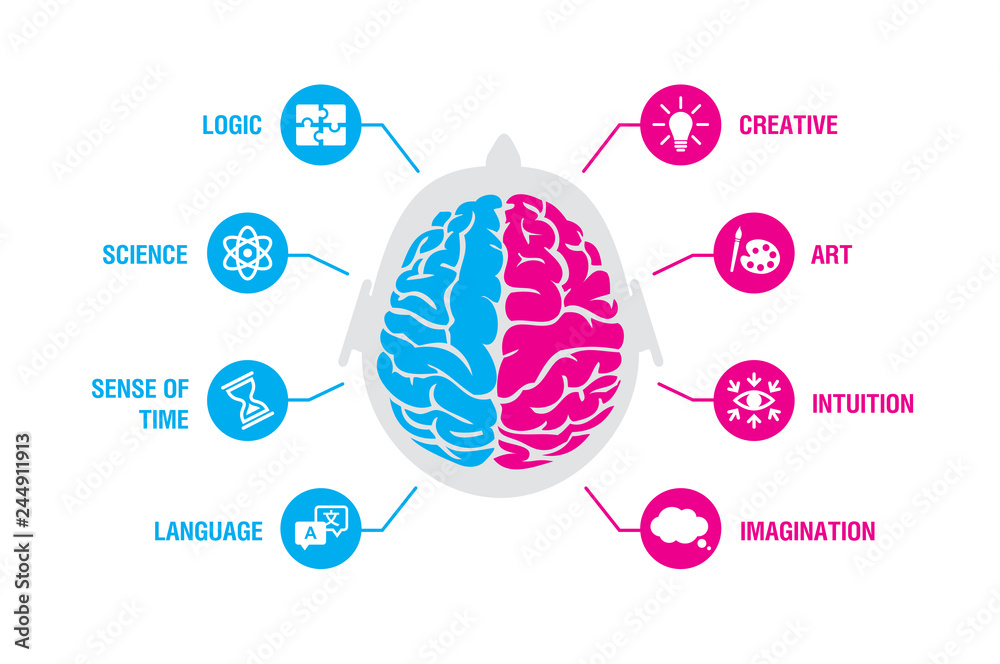 Left and right human brain concept. Logic and creative hemispheres ... Left and right human brain concept. Logic and creative hemispheres ...