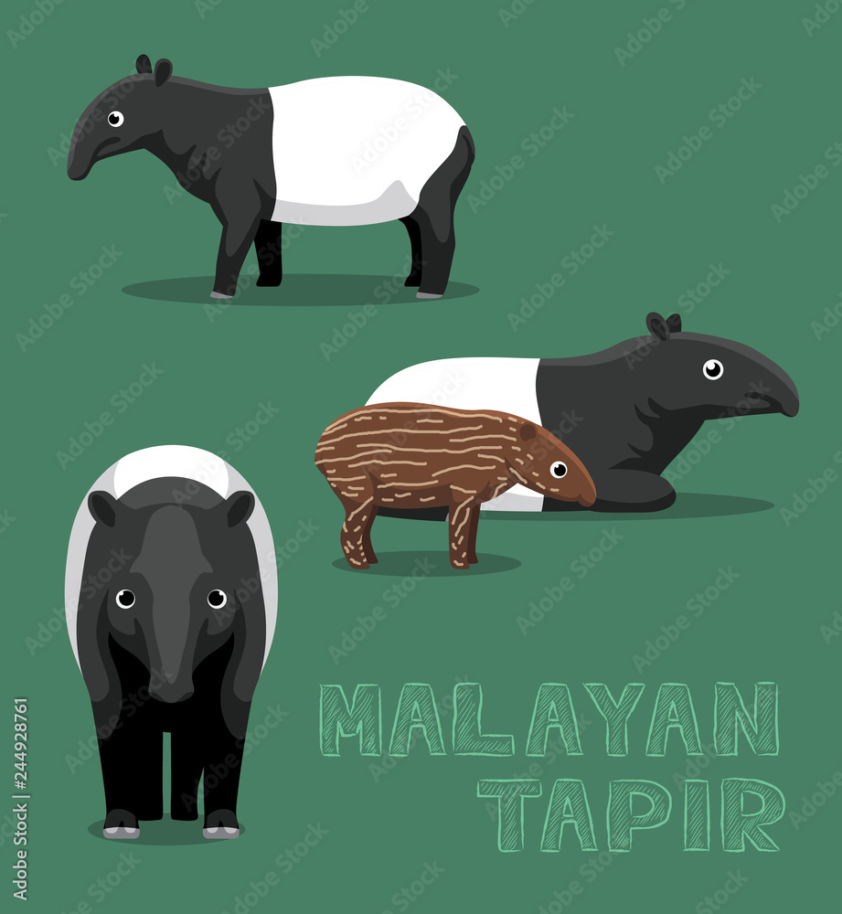 Malayan Tapir Cute Cartoon Vector Illustration Stock Vector | Adobe Stock
