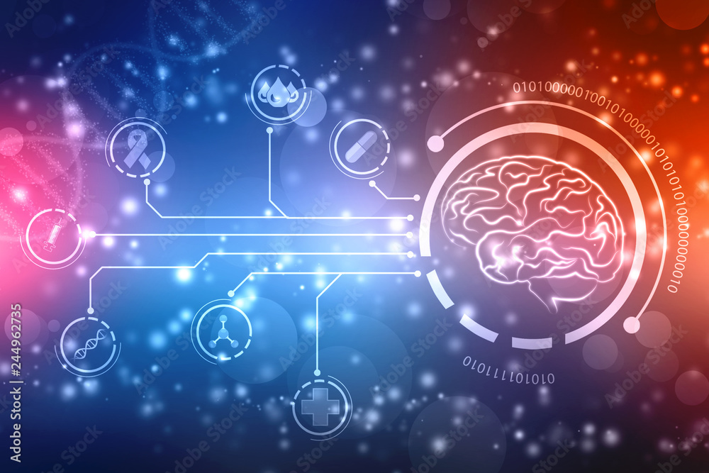 Human brain 2d illustration, Digital illustration of Human brain ...