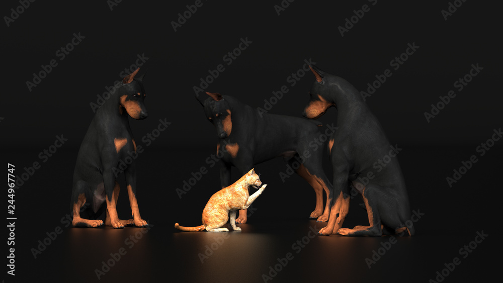 Stray cat in front of three dobermans looks like careless 3d ...