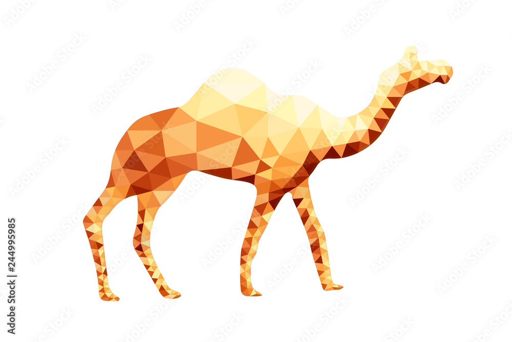 Whole orange-brown camel in low-poly moving forward isolated on white ...