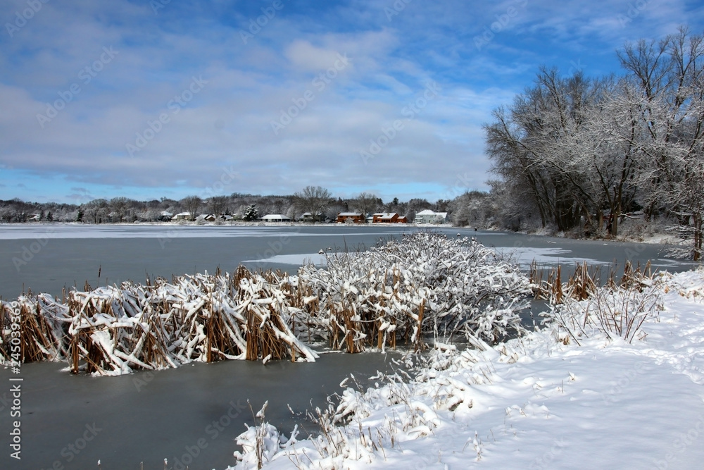 Frozen Pond Background