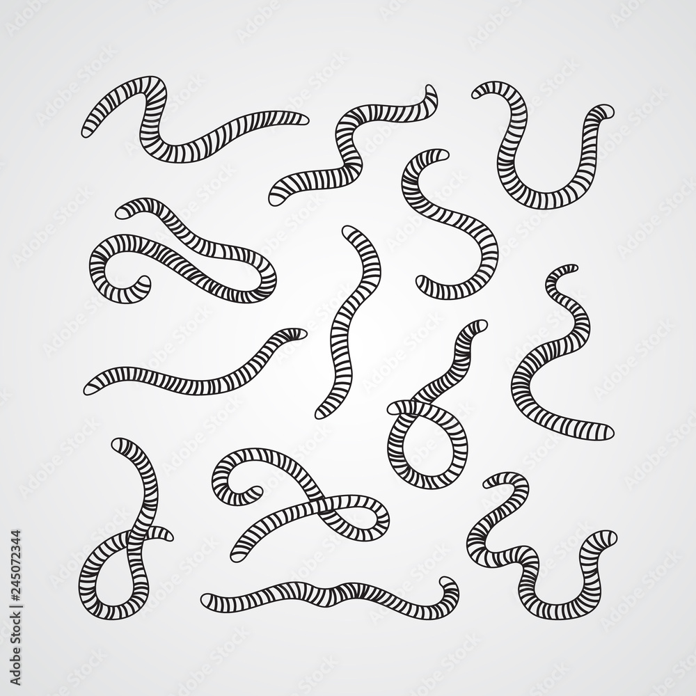 Collection of worms. Illustration of animal, nature, fishing, earth and ...