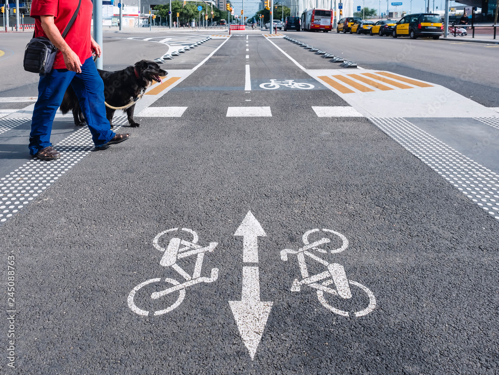 Man crossing street with dog Disability pedestrian ground with Bike ...