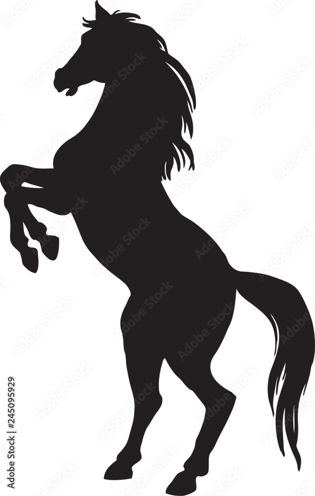 Rearing up wild horse fine vector silhouette - Vector Stock Vector ...