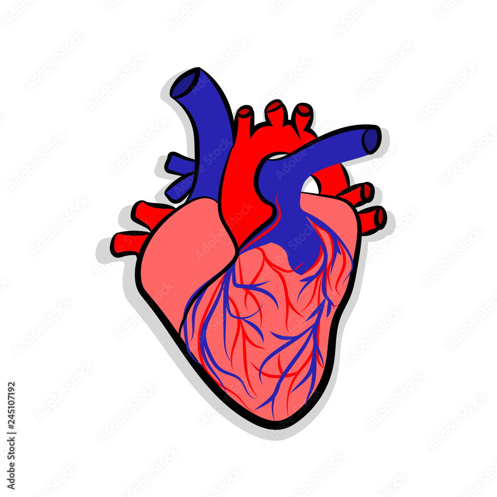 How To Draw A Simple Heart Diagram