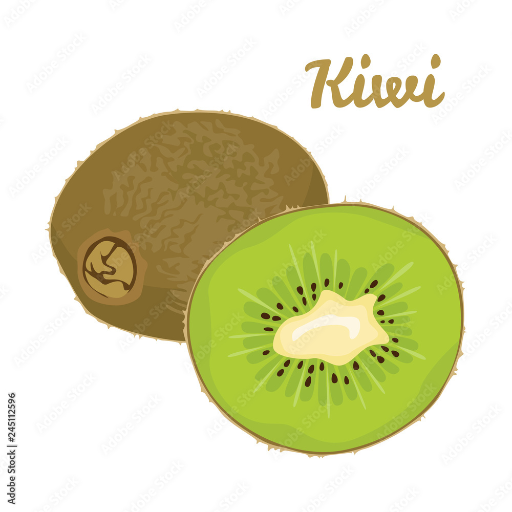 Kiwi Slice Vector