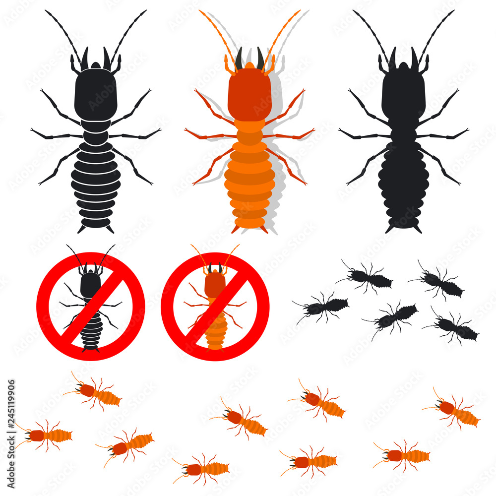 Termite vector icons set. Signs for the control of insects ...