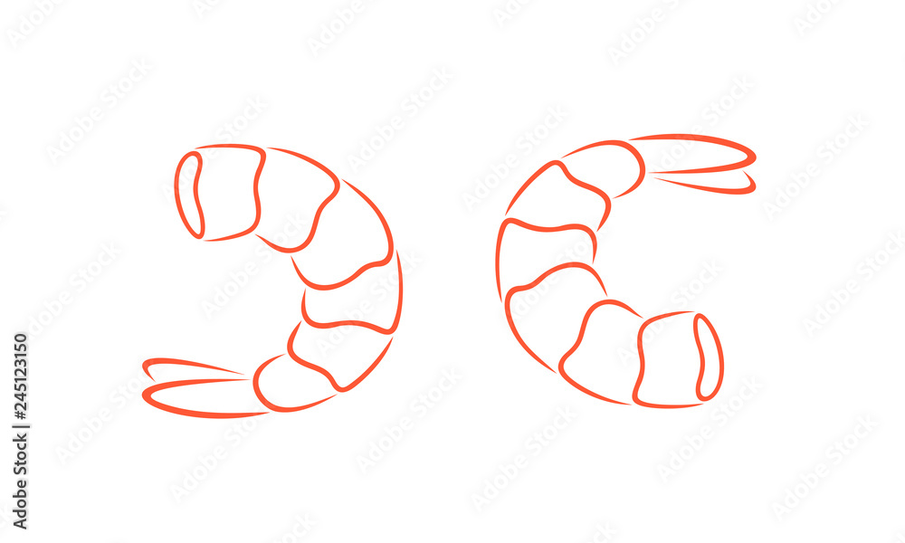 Shrimp outline. Isolated shrimp on white background. Prawns outline ...