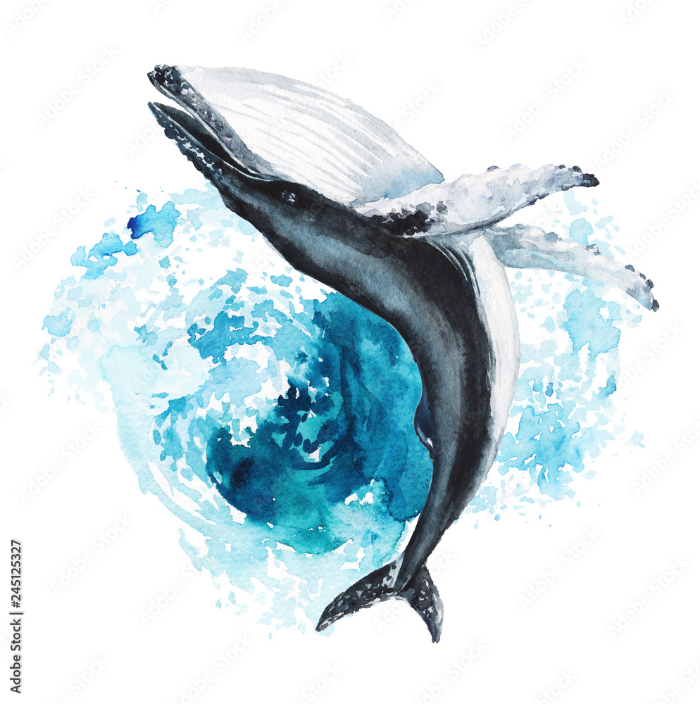 Humpback Whale Art