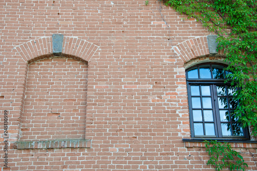 The classic effect of ivy. Green ivy plant climbing brick wall. House ...