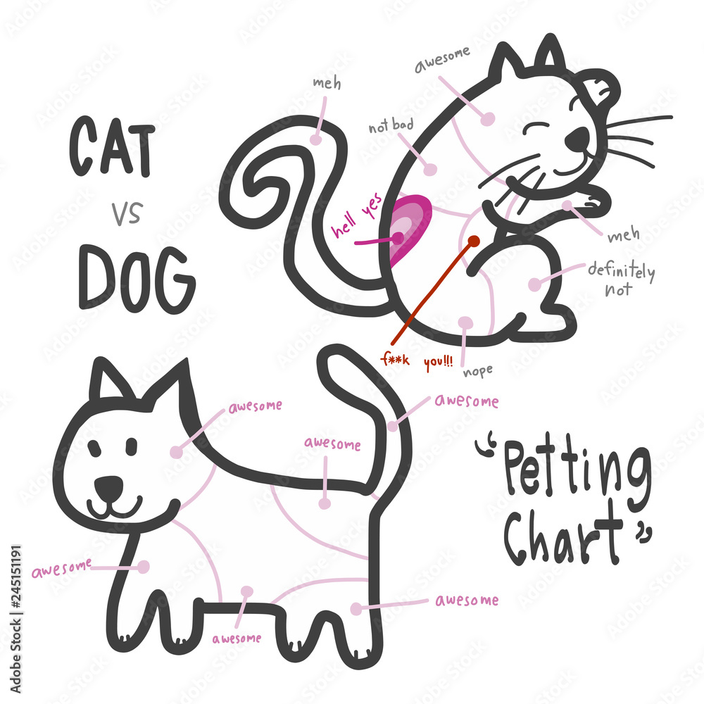 Cute cat and dog petting cartoon infographic chart vector illustration ...