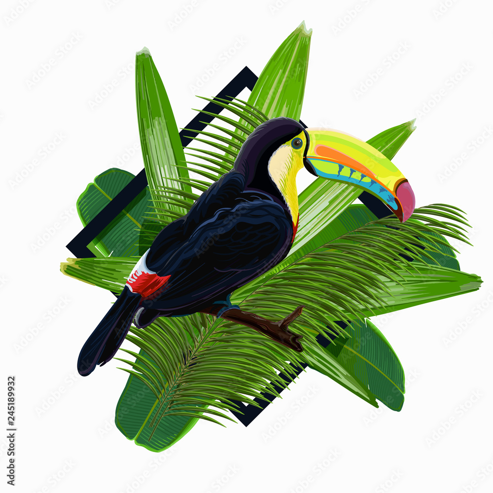 Vector illustration with tropical leaves and bird toucan on a branch on ...