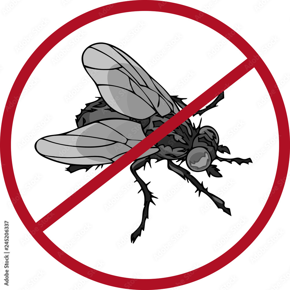 On vector illustration realistic fly and stop sign, denoting the ...